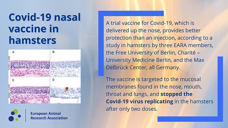 Why small mammals are used in animal research | EARA